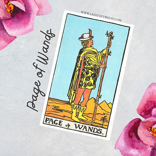 Page of Wands Tarot Card Meaning | Minor Arcana | Light of Twelve – Light Of Twelve