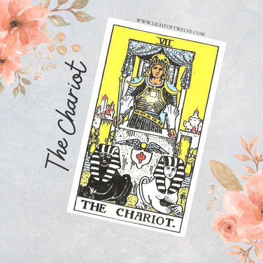 The Chariot Tarot Card Meaning | Major Arcana | Light of Twelve – Light ...